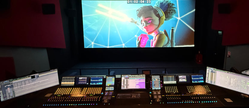 Post Production Metering Suite Pro | Evergreen Audio